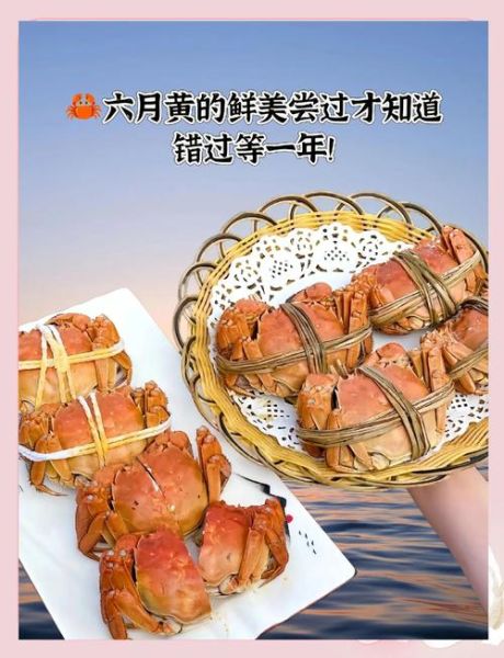 六月黄大闸蟹的营养价值_六月黄大闸蟹的功效与作用-第3张图片-山城妙识