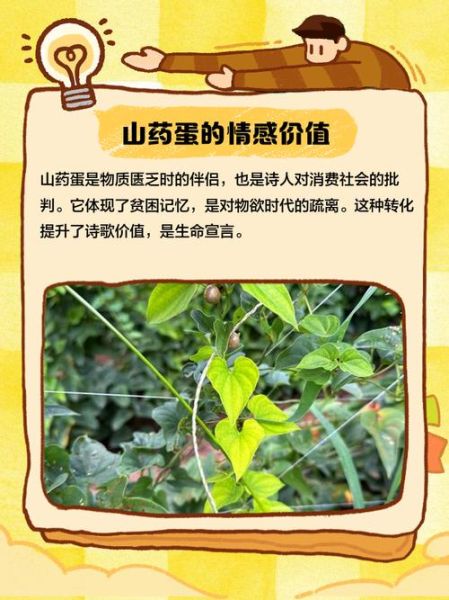 山药蛋派代表作品有哪些_山药蛋派文学特色是什么-第3张图片-山城妙识