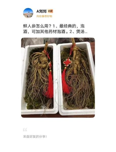 鲜人参怎么吃效果最好_鲜人参功效怎么吃-第1张图片-山城妙识 鲜人参怎么吃效果最好_鲜人参功效怎么吃-第1张图片-山城妙识