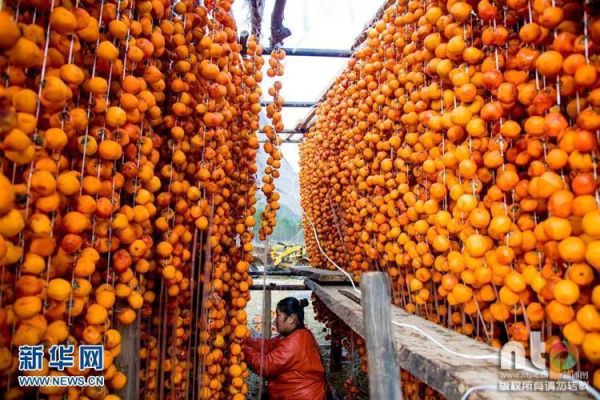 柿饼怎么晒_柿饼制作全过程-第3张图片-山城妙识 柿饼怎么晒_柿饼制作全过程-第3张图片-山城妙识