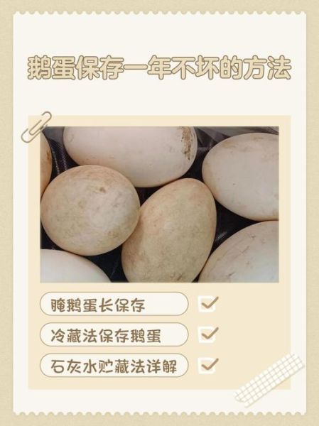 鹅蛋怎么腌制好吃_鹅蛋腌制方法-第2张图片-山城妙识 鹅蛋怎么腌制好吃_鹅蛋腌制方法-第2张图片-山城妙识