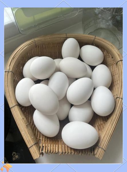 鹅蛋怎么腌制好吃_鹅蛋腌制方法-第3张图片-山城妙识 鹅蛋怎么腌制好吃_鹅蛋腌制方法-第3张图片-山城妙识