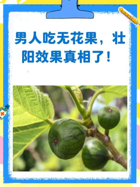 无花果对男性性功能好吗_无花果男人吃了壮阳吗-第2张图片-山城妙识