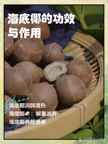 海底椰是寒性还是热性_海底椰适合什么人吃-第1张图片-山城妙识 海底椰是寒性还是热性_海底椰适合什么人吃-第1张图片-山城妙识