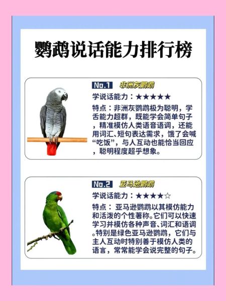 鹦鹉怎么训练说话_鹦鹉能活多久-第3张图片-山城妙识 鹦鹉怎么训练说话_鹦鹉能活多久-第3张图片-山城妙识