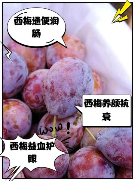 新鲜西梅多少钱一斤_西梅价格为什么波动大-第3张图片-山城妙识