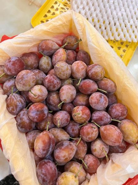 新鲜西梅多少钱一斤_西梅价格为什么波动大-第1张图片-山城妙识