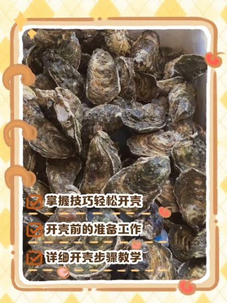 生蚝怎么打开_生蚝开壳技巧视频-第2张图片-山城妙识