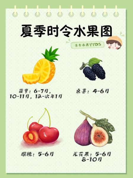 夏天水果有哪些水果_夏天应季水果推荐-第3张图片-山城妙识