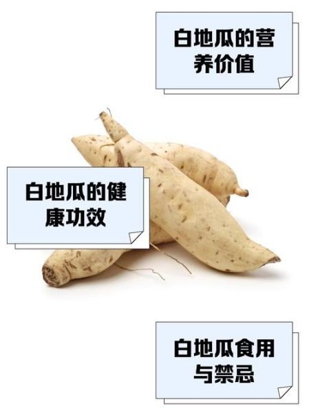 白地瓜的禁忌人群有哪些_白地瓜吃多了有什么副作用-第2张图片-山城妙识