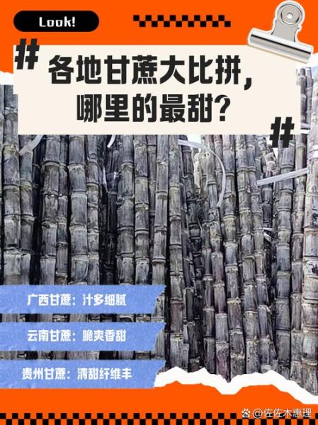 甘蔗产地在哪里_中国甘蔗主产区有哪些-第1张图片-山城妙识