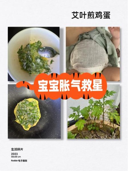 艾叶煮鸡蛋敷宝宝肚子_宝宝肚子胀气怎么办-第1张图片-山城妙识