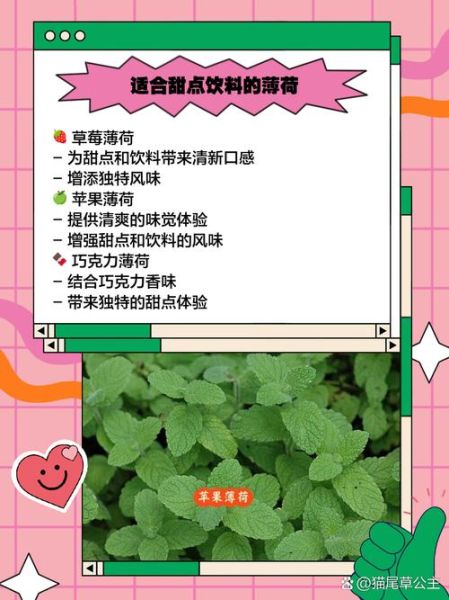 哪种薄荷可以生吃_薄荷品种食用安全指南-第3张图片-山城妙识