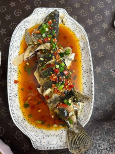 清蒸鲑鱼怎么做_清蒸鲑鱼蒸多久-第1张图片-山城妙识