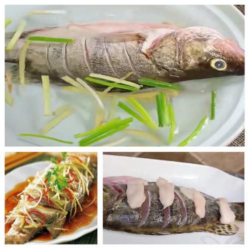 清蒸鲑鱼怎么做_清蒸鲑鱼蒸多久-第2张图片-山城妙识