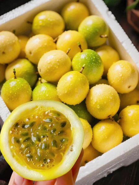 百香果多少钱一斤2020_2020年百香果价格走势-第3张图片-山城妙识