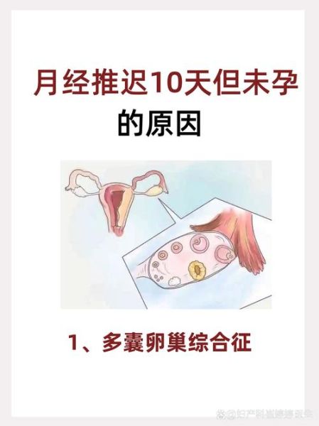 三个月没来月经的危害_闭经会导致不孕吗-第3张图片-山城妙识