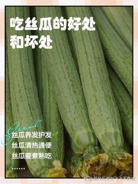 女性吃丝瓜的好处和坏处_丝瓜对女性的影响有哪些-第2张图片-山城妙识 女性吃丝瓜的好处和坏处_丝瓜对女性的影响有哪些-第2张图片-山城妙识