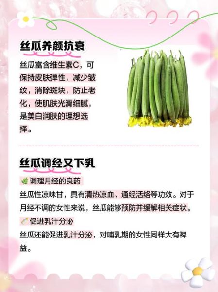 女性吃丝瓜的好处和坏处_丝瓜对女性的影响有哪些-第3张图片-山城妙识 女性吃丝瓜的好处和坏处_丝瓜对女性的影响有哪些-第3张图片-山城妙识