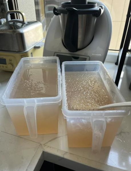 大西米怎么煮_大西米要泡多久-第1张图片-山城妙识