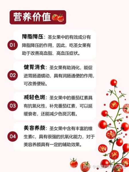 番茄的营养价值有哪些_番茄怎么吃最营养-第2张图片-山城妙识