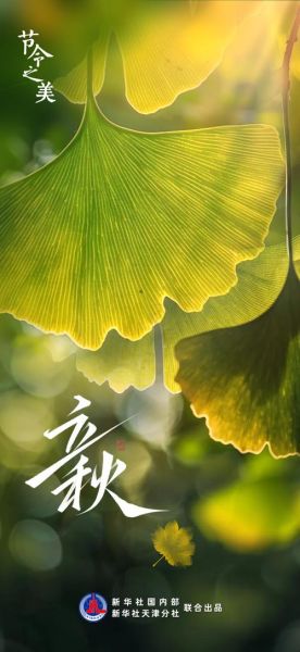 立秋景色大图怎么拍_立秋摄影构图技巧-第3张图片-山城妙识