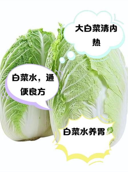 清水白菜是哪里的名菜_正宗做法揭秘-第2张图片-山城妙识