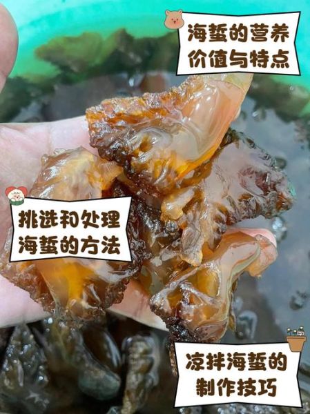 吃海蜇的禁忌有哪些_海蜇不能和什么一起吃-第1张图片-山城妙识