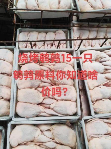 鹌鹑价格多少钱一只_鹌鹑苗和成年鹌鹑最新报价-第2张图片-山城妙识 鹌鹑价格多少钱一只_鹌鹑苗和成年鹌鹑最新报价-第2张图片-山城妙识