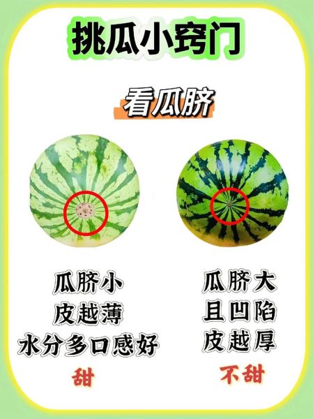 怎么挑西瓜才甜_西瓜挑选技巧有哪些-第2张图片-山城妙识