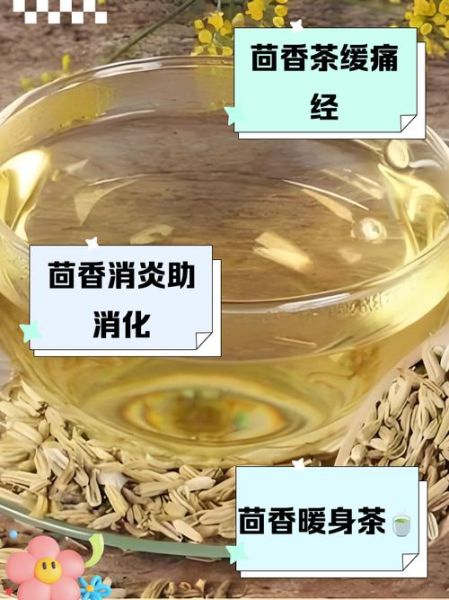 茴香酒有什么功效_茴香酒怎么喝才养生-第1张图片-山城妙识