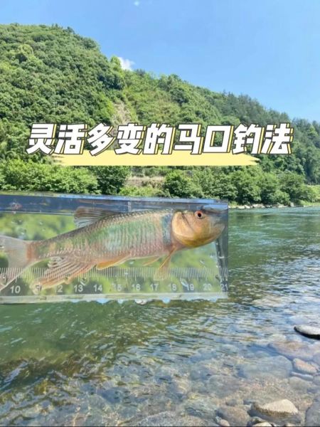 马口鱼怎么钓_马口鱼吃什么饵-第1张图片-山城妙识 马口鱼怎么钓_马口鱼吃什么饵-第1张图片-山城妙识