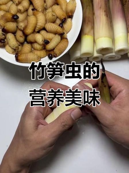 笋虫长什么样子_笋虫怎么防治-第1张图片-山城妙识