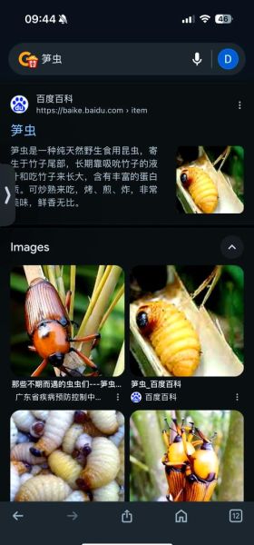 笋虫长什么样子_笋虫怎么防治-第2张图片-山城妙识