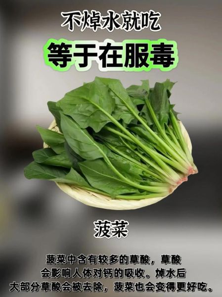 医生都不吃的三种蔬菜_真相是什么-第3张图片-山城妙识 医生都不吃的三种蔬菜_真相是什么-第3张图片-山城妙识