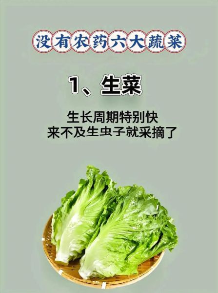 医生都不吃的三种蔬菜_真相是什么-第1张图片-山城妙识 医生都不吃的三种蔬菜_真相是什么-第1张图片-山城妙识