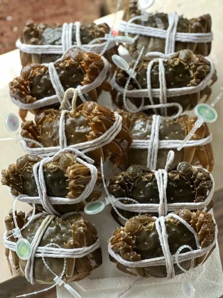 阳澄湖大闸蟹什么时候上市_2021年上市时间-第3张图片-山城妙识 阳澄湖大闸蟹什么时候上市_2021年上市时间-第3张图片-山城妙识