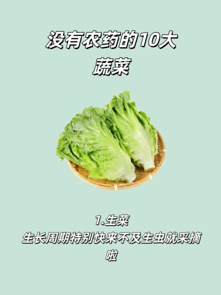 医生都不吃的三种蔬菜_真相是什么-第2张图片-山城妙识 医生都不吃的三种蔬菜_真相是什么-第2张图片-山城妙识