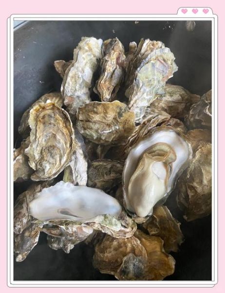 生蚝煮多长时间_生蚝煮多久才熟-第2张图片-山城妙识