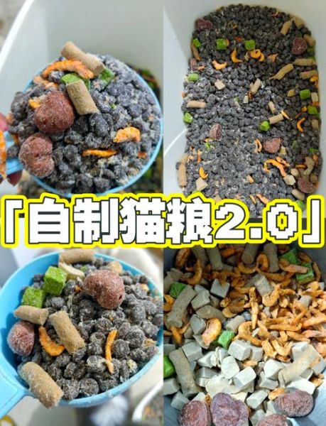 自制猫粮的简单做法_猫咪吃自制粮安全吗-第1张图片-山城妙识