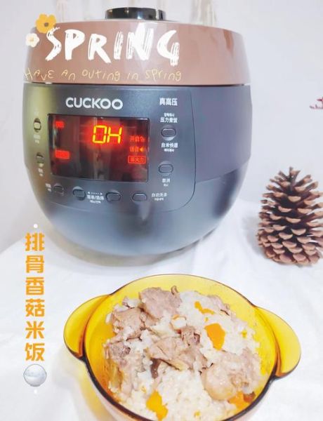 电饭煲排骨米饭怎么做_排骨米饭电饭煲做法-第3张图片-山城妙识