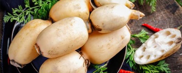 藕断丝连的丝指的是藕的什么_藕丝的结构与作用-第2张图片-山城妙识