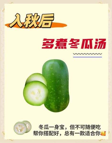 冬瓜汤怎么做_冬瓜汤的功效与作用-第2张图片-山城妙识