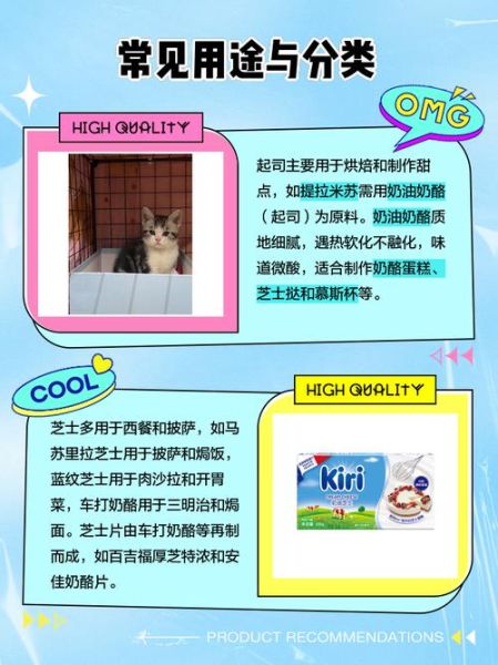 起司蛋糕是芝士蛋糕吗_区别与做法-第2张图片-山城妙识 起司蛋糕是芝士蛋糕吗_区别与做法-第2张图片-山城妙识