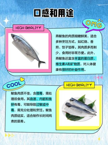 鲅鱼和鲐鲅鱼区别图片_如何一眼分辨-第3张图片-山城妙识