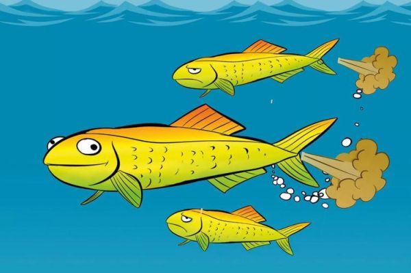 鲱鱼罐头为什么这么臭_如何正确开罐不翻车-第3张图片-山城妙识 鲱鱼罐头为什么这么臭_如何正确开罐不翻车-第3张图片-山城妙识