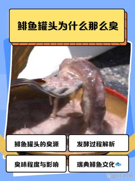 鲱鱼罐头为什么这么臭_如何正确开罐不翻车-第2张图片-山城妙识 鲱鱼罐头为什么这么臭_如何正确开罐不翻车-第2张图片-山城妙识