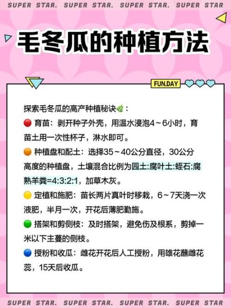 毛瓜怎么做好吃_毛瓜和冬瓜的区别-第1张图片-山城妙识