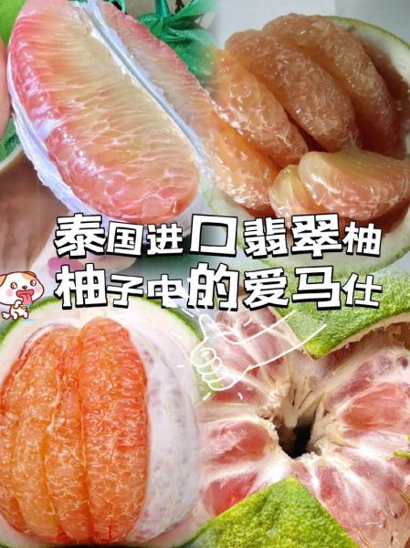 柚子英文怎么读_yuzu发音详解-第2张图片-山城妙识