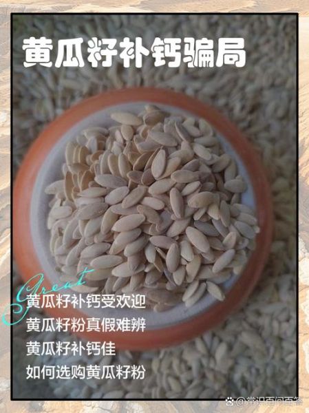 黄瓜籽补钙的真相_黄瓜籽粉能代替钙片吗-第1张图片-山城妙识